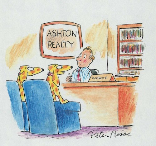 Cartoons: Reigning Cats and Dogs | The Saturday Evening Post