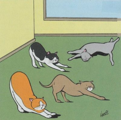 Cartoons: Reigning Cats and Dogs | The Saturday Evening Post