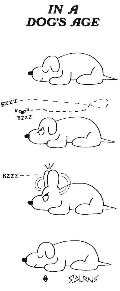 Cartoons: Reigning Cats and Dogs | The Saturday Evening Post