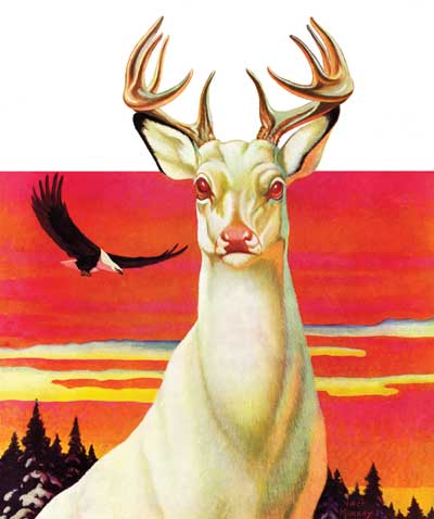 Artist Jack Murray: The Call of the Wild | The Saturday Evening Post