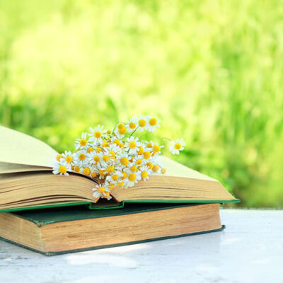 Disappearances & Dragons: The James Dallas Egbert III Story | The ...