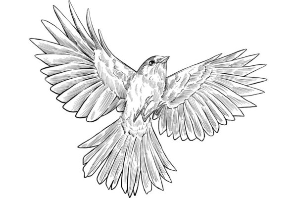 Mockingbird Murders | The Saturday Evening Post