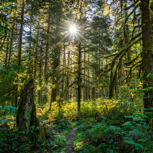 Our Better Nature Archives | The Saturday Evening Post