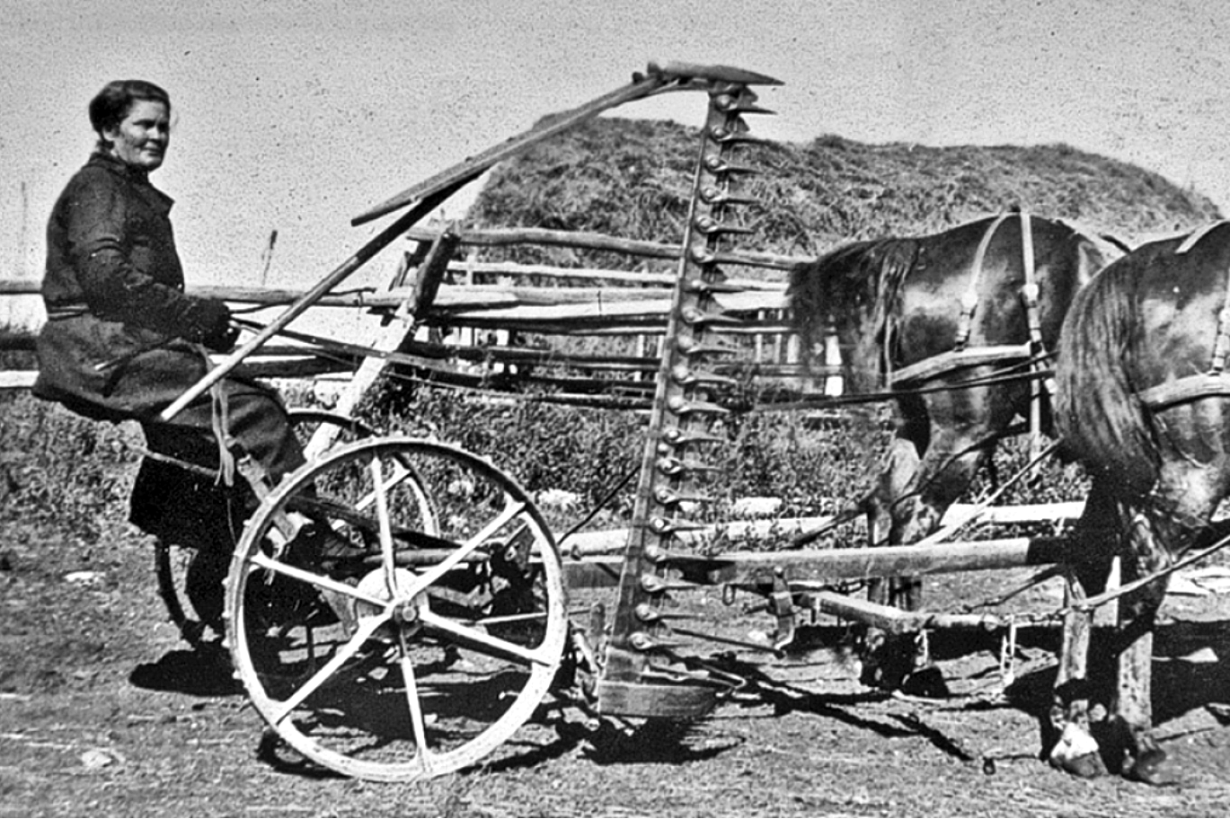 Missing in History: Letters of a Woman Homesteader | The Saturday ...