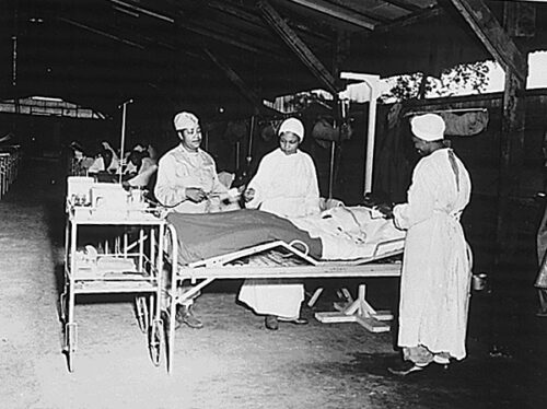 Women’s Work: Fighting to Serve — Black Nurses in World War II | The ...
