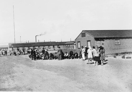 Women’s Work: Give Her Liberty — Mitsuye Endo and the Fight Against ...